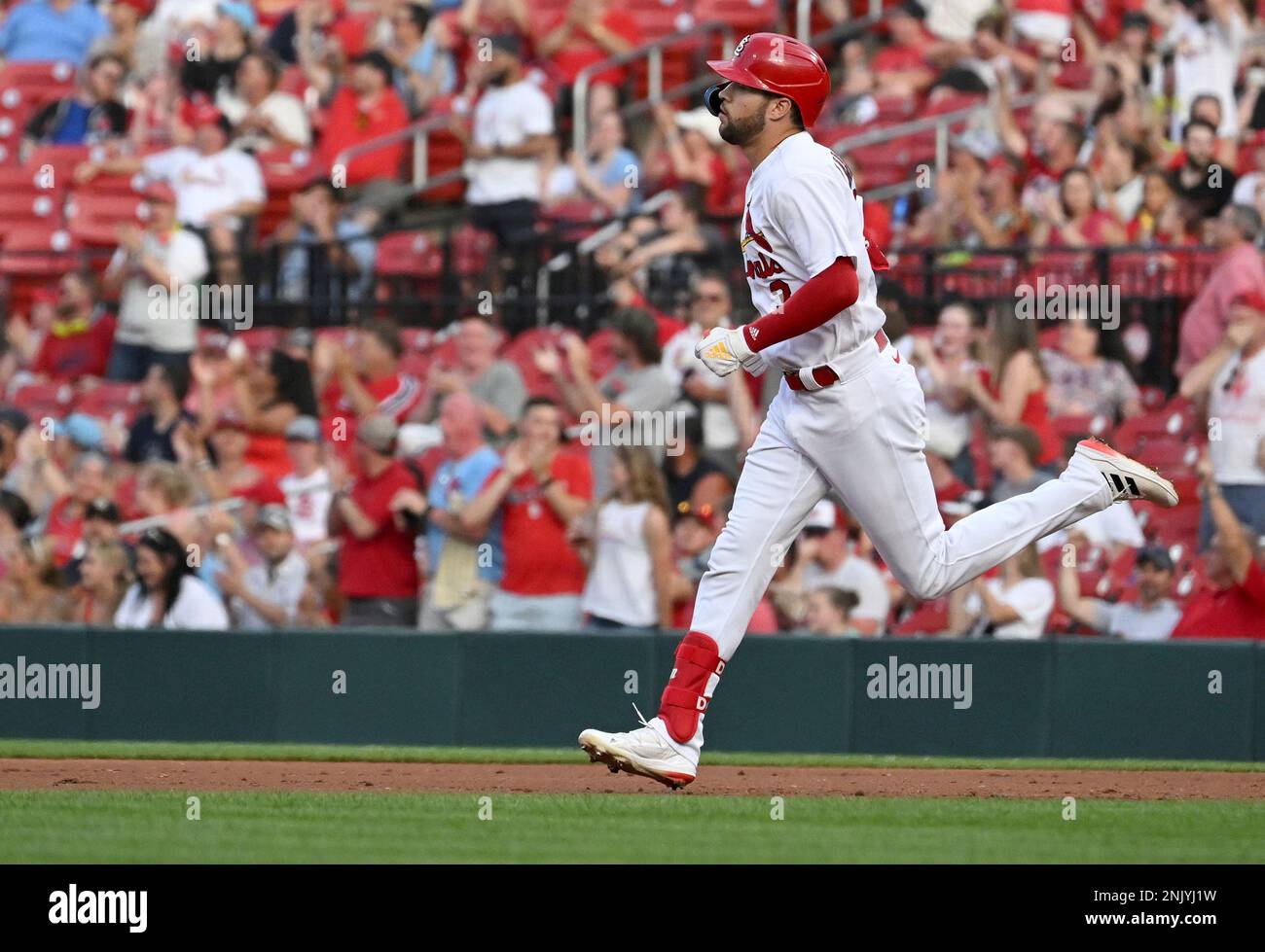 ST. LOUIS, MO - JUNE 15: St. Louis Cardinals right fielder Dylan ...