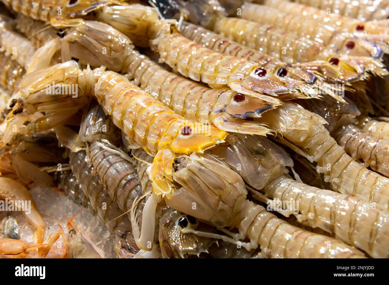 fresh mantis shrimp on the table in the fish market Stock Photo - Alamy
