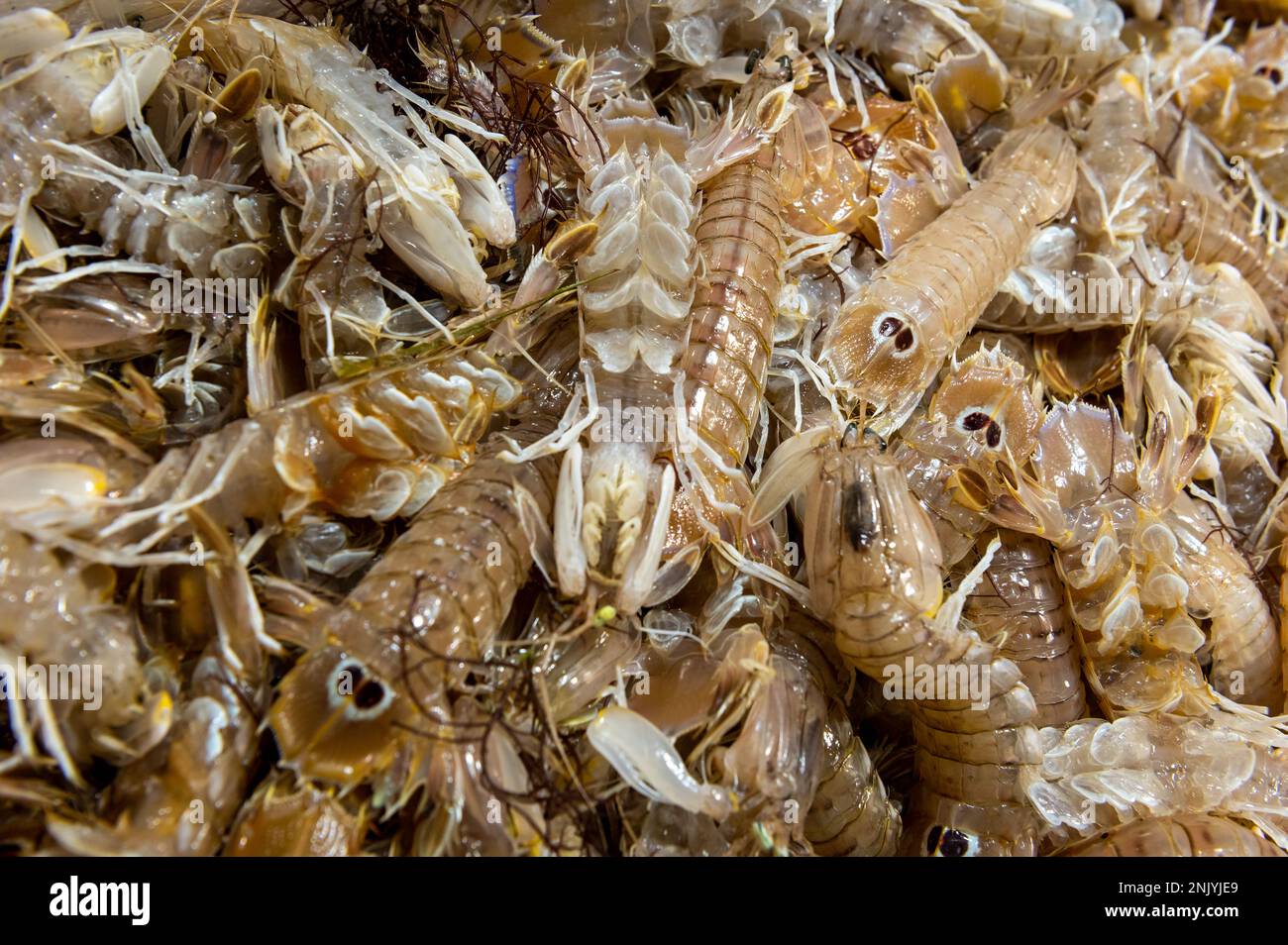 fresh mantis shrimp on the table in the fish market Stock Photo - Alamy