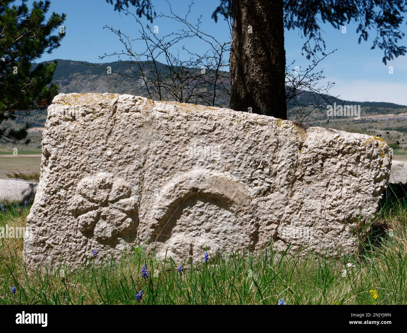 Stecci Medieval Tombstones Graveyards Risovac in Blidinje, BiH. Unesco ...
