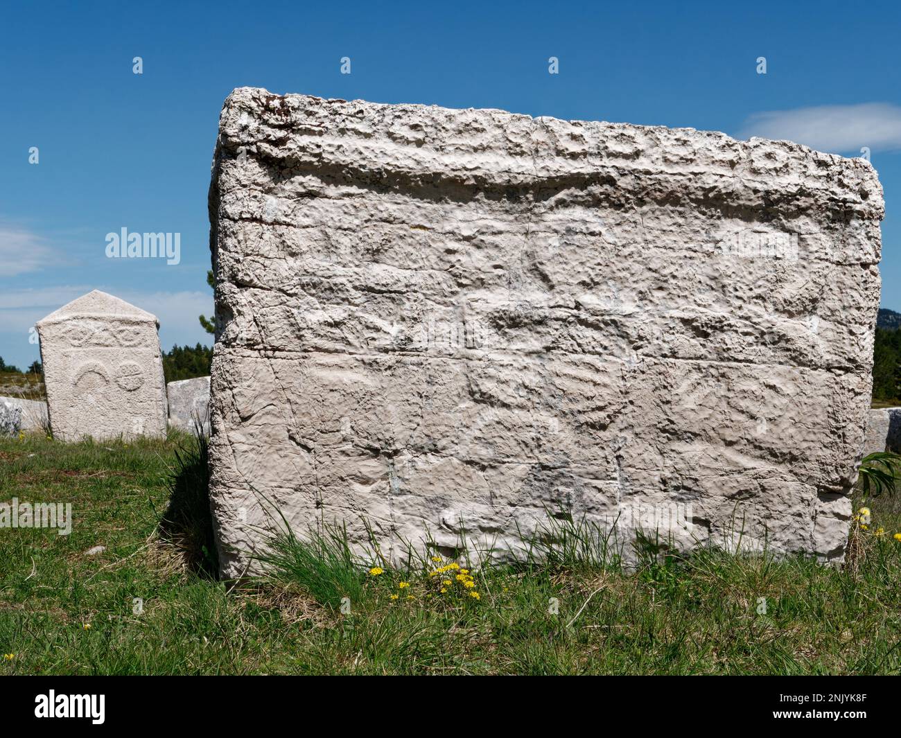 Stecci Medieval Tombstones Graveyards Dugo Polje in Blidinje, BiH ...