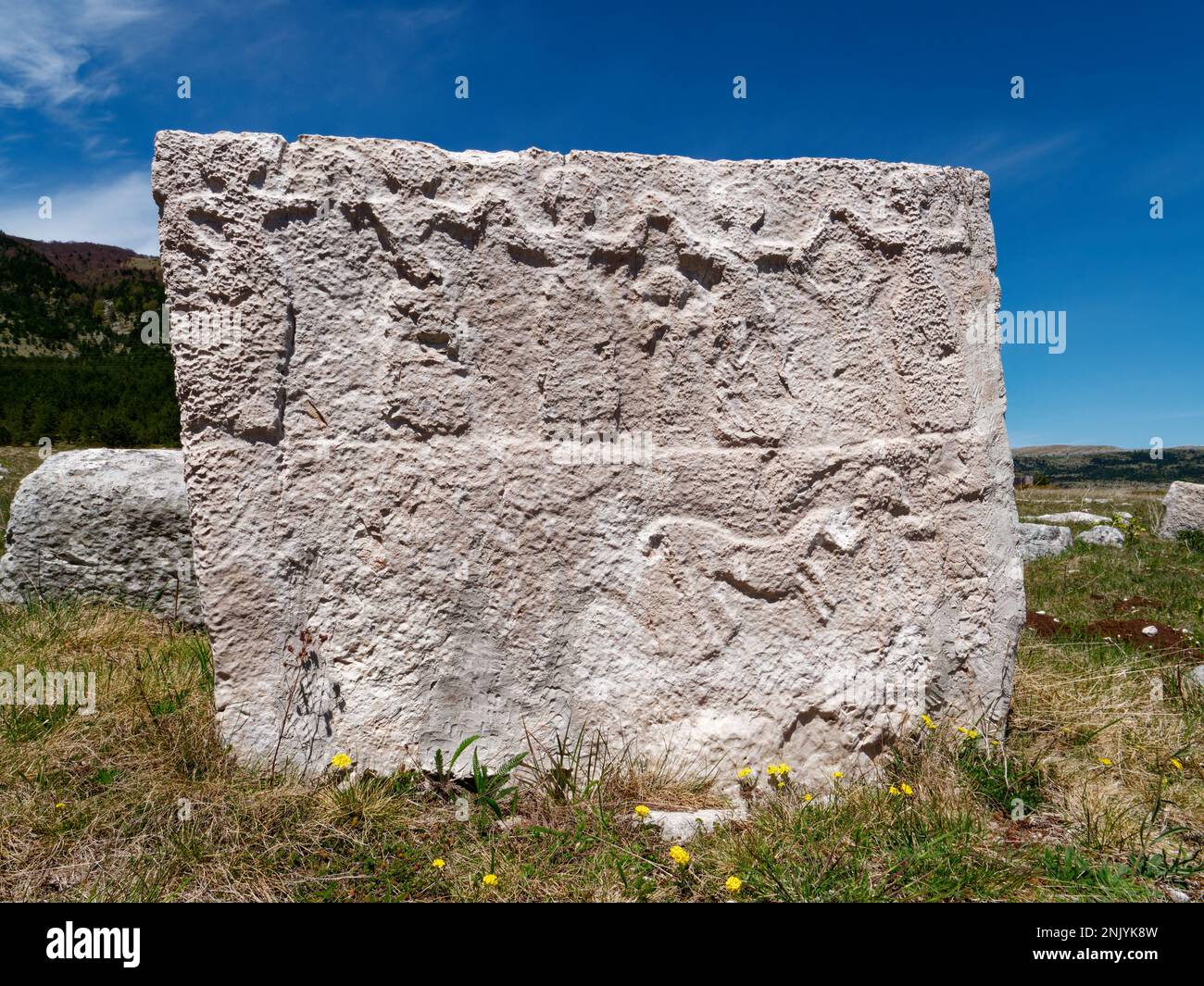 Stecci Medieval Tombstones Graveyards Dugo Polje in Blidinje, BiH ...
