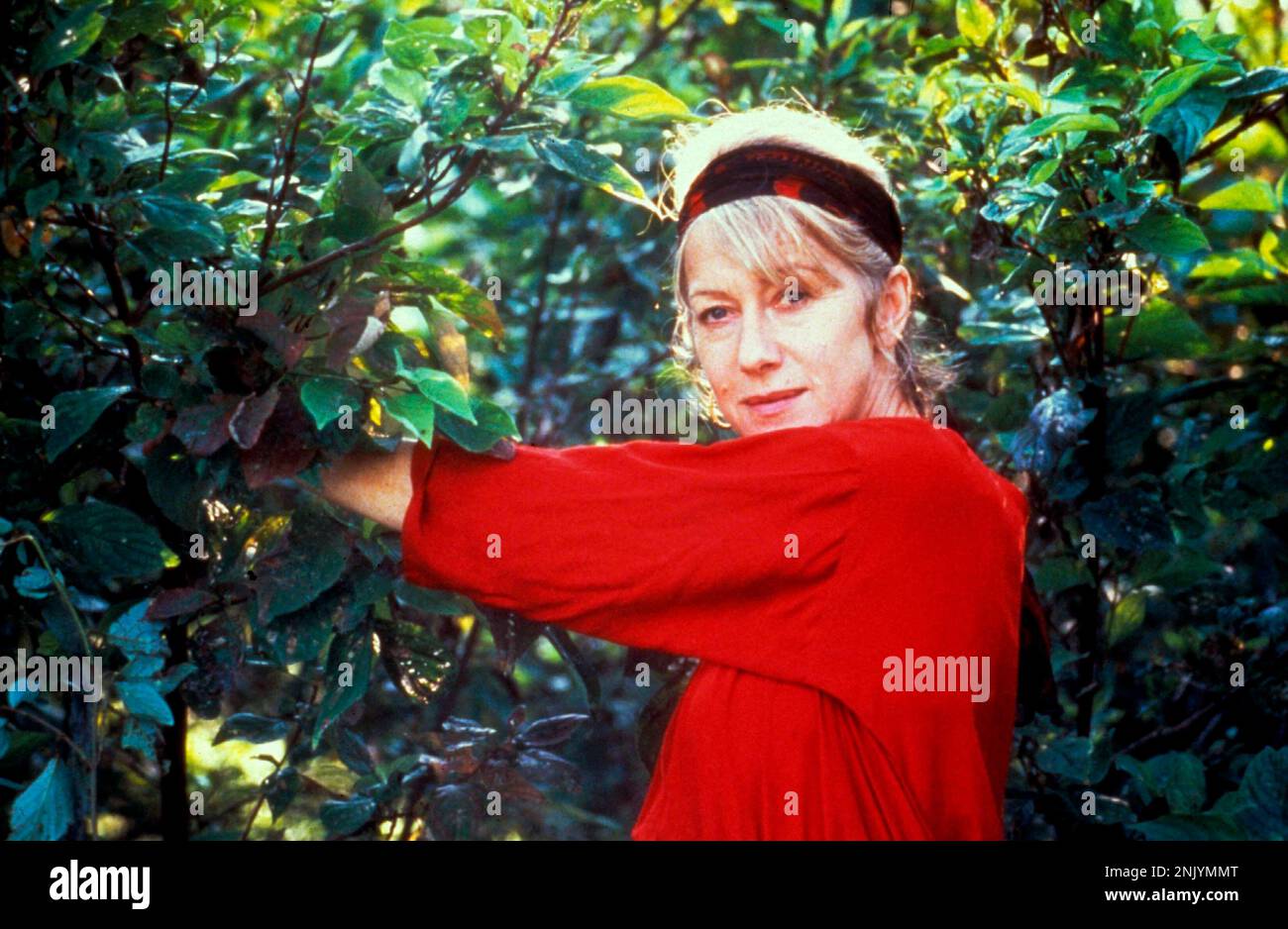 HELEN MIRREN in LOSING CHASE (1996), directed by KEVIN BACON. Credit ...