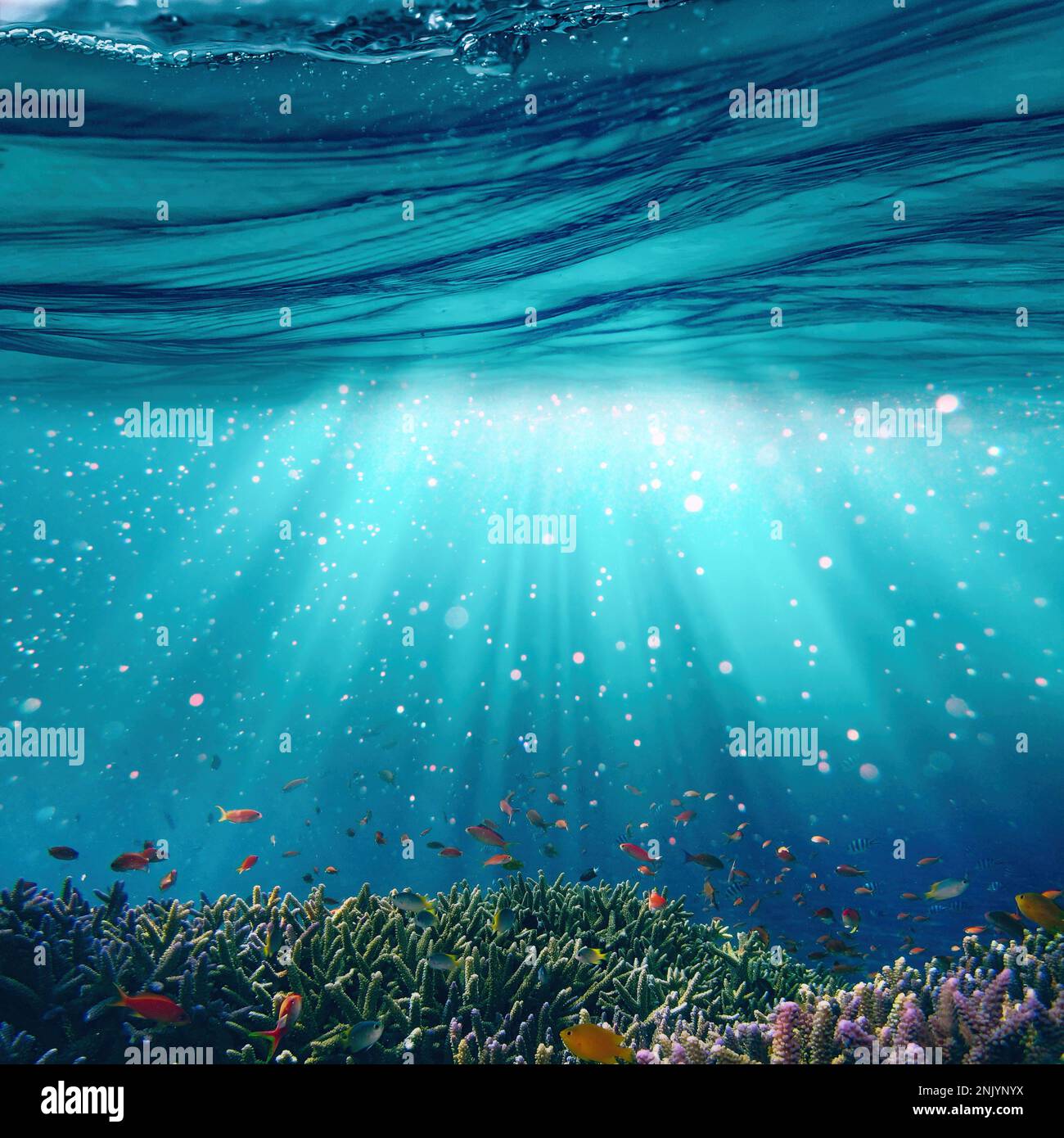Deep underwater, abstract marine background. Tranquil view Stock Photo ...