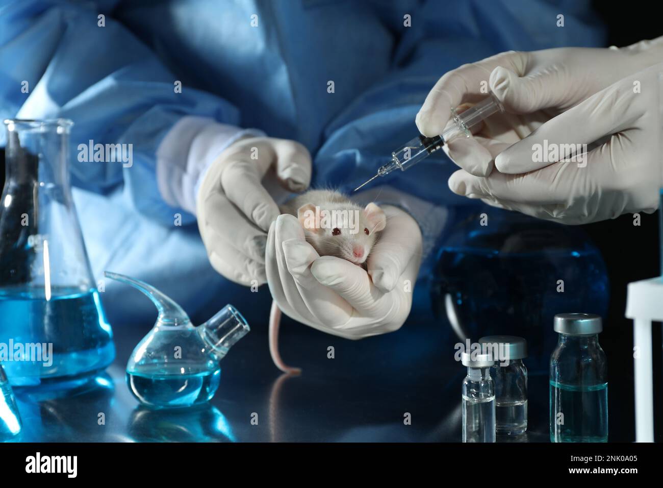 Scientists with syringe and rat in chemical laboratory, closeup. Animal ...