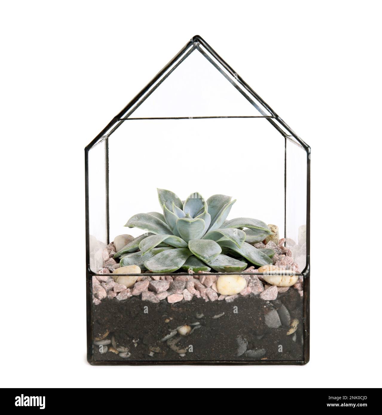 Florarium vase Cut Out Stock Images & Pictures - Alamy
