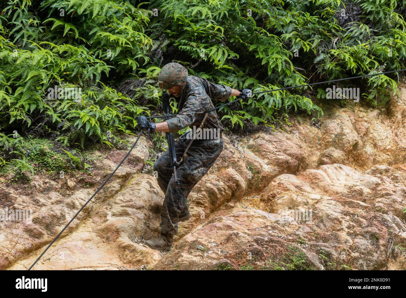 A U.S. Marine with Headquarters Battalion, 3d Marine Division, rappels ...