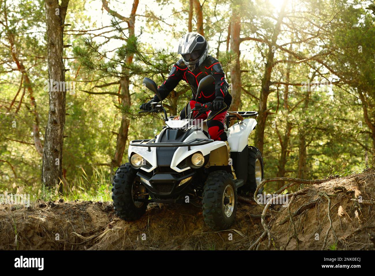Quad bike ride in the woods hi-res stock photography and images - Alamy