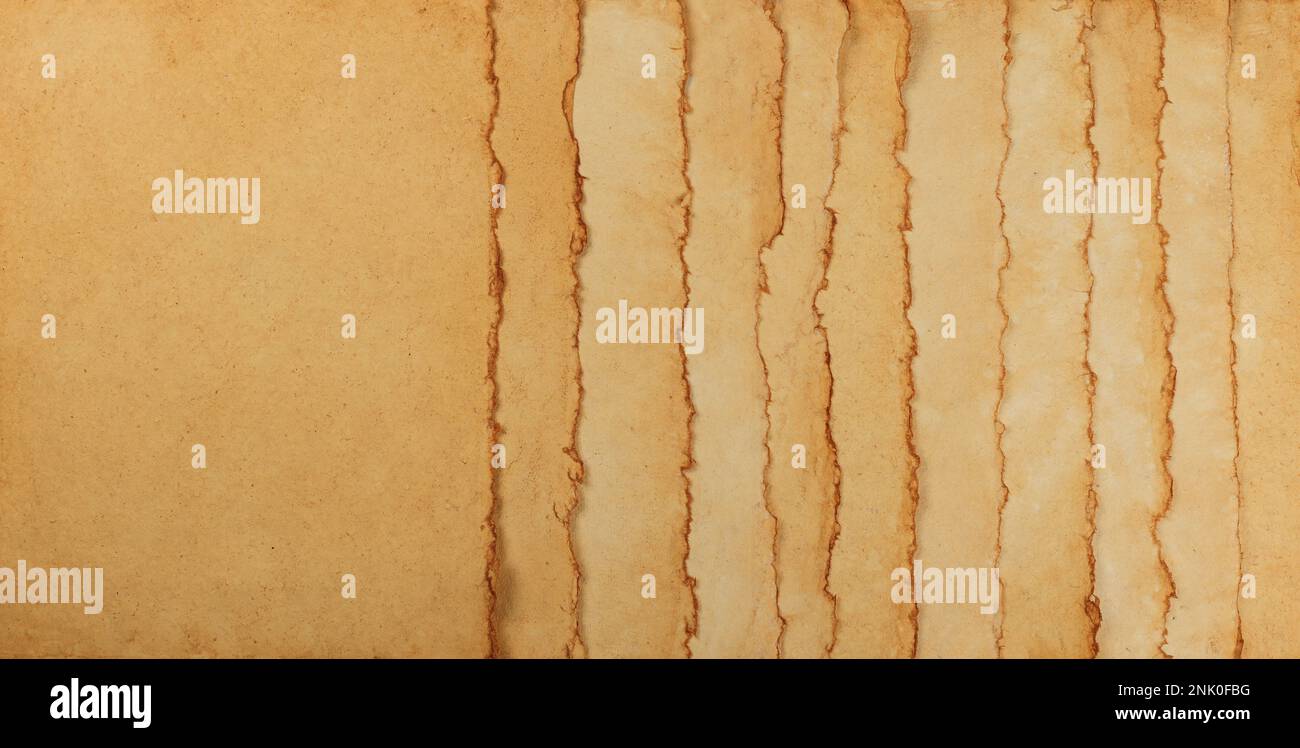 Close up background texture of blank old antique vintage brown paper ...