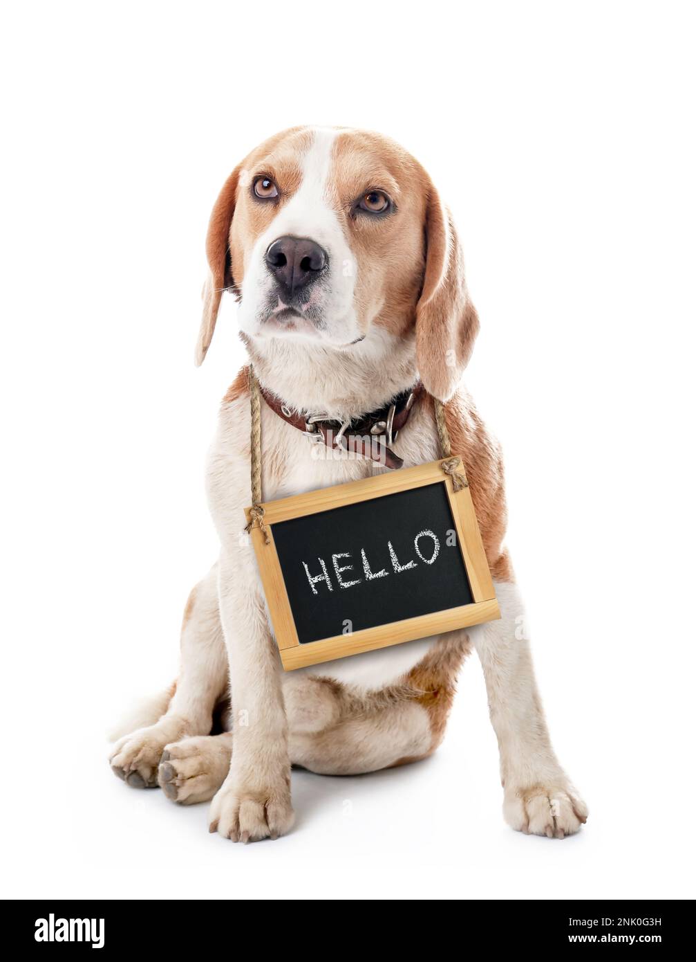Hello friend Cut Out Stock Images & Pictures - Alamy