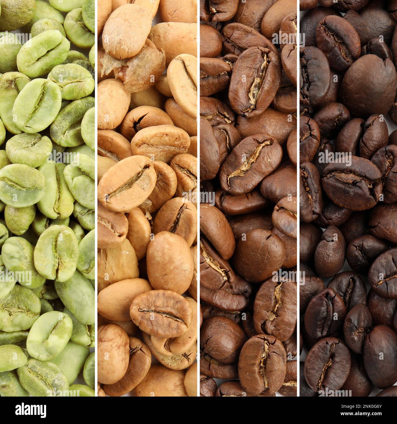 Green and roasted coffee beans, top view. Collage Stock Photo - Alamy