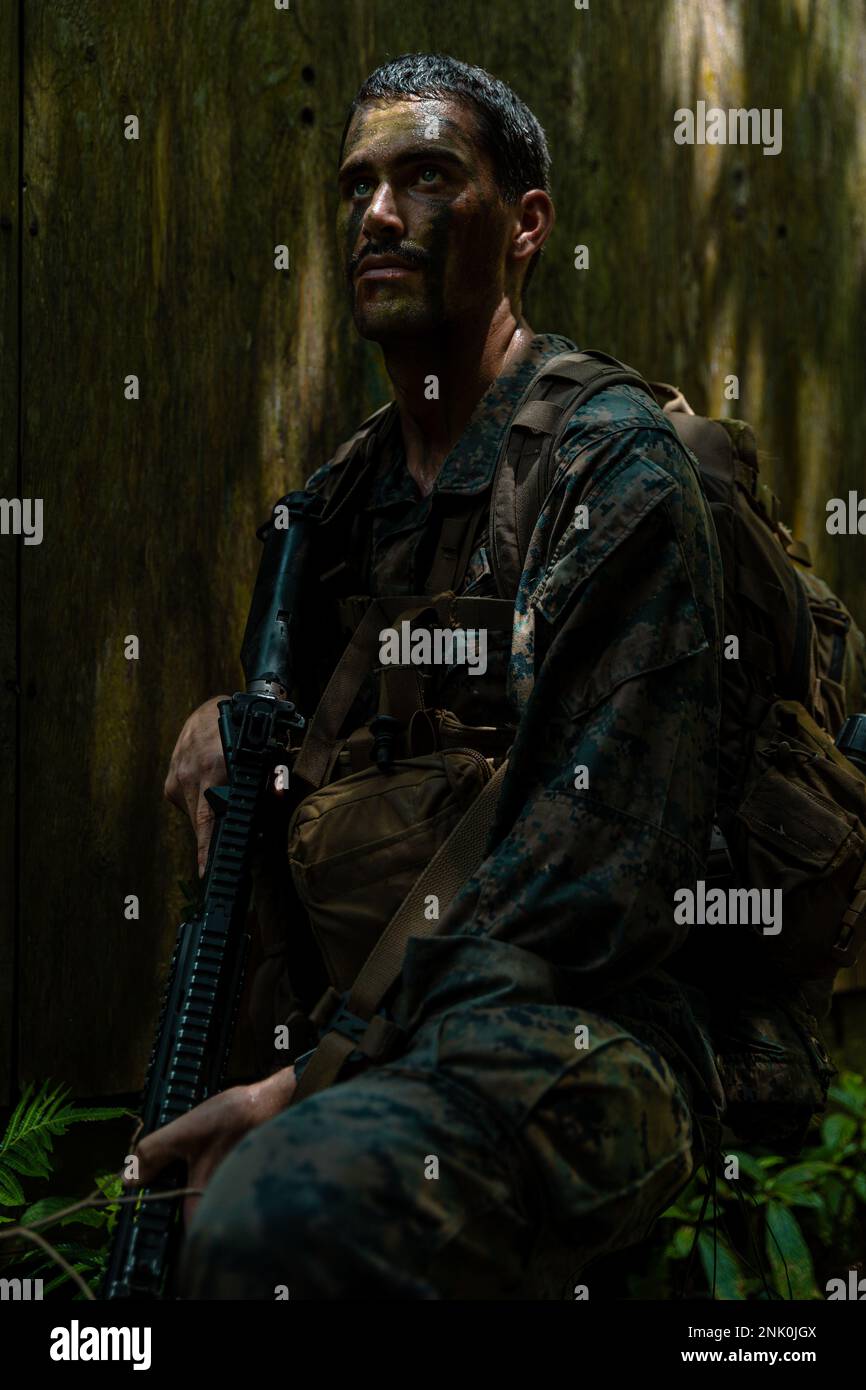 Jungleleaderscourse hi-res stock photography and images - Alamy