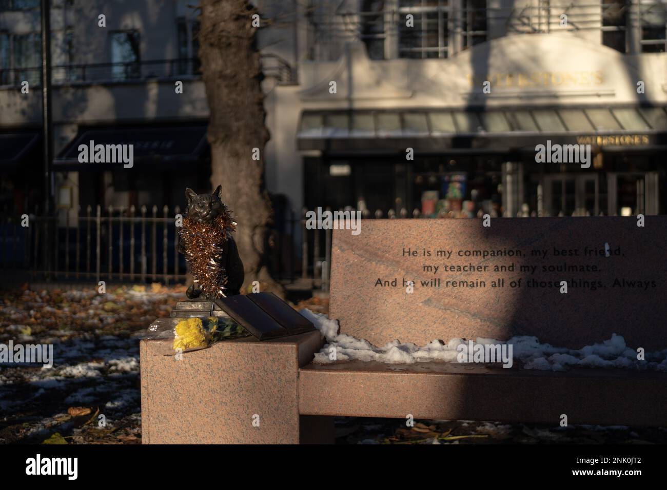 Street Cat Bob Stock Photo - Alamy