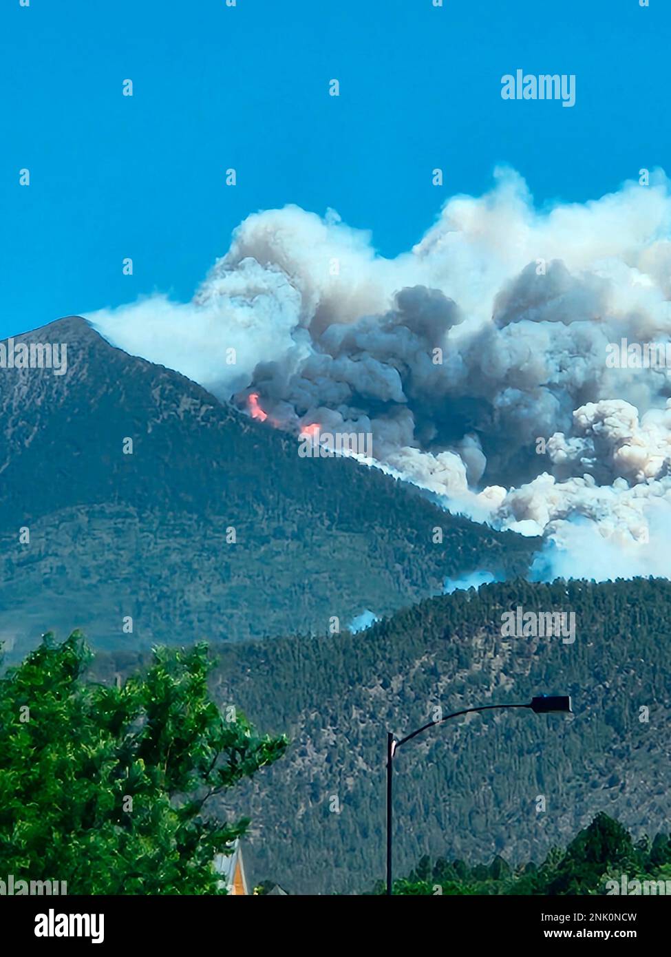 A wildfire burns on the outskirts of Flagstaff, Ariz, on Monday, June ...