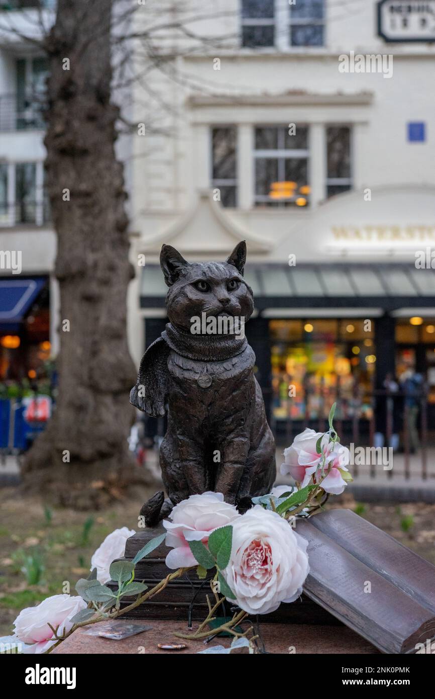 Street Cat Bob Stock Photo - Alamy