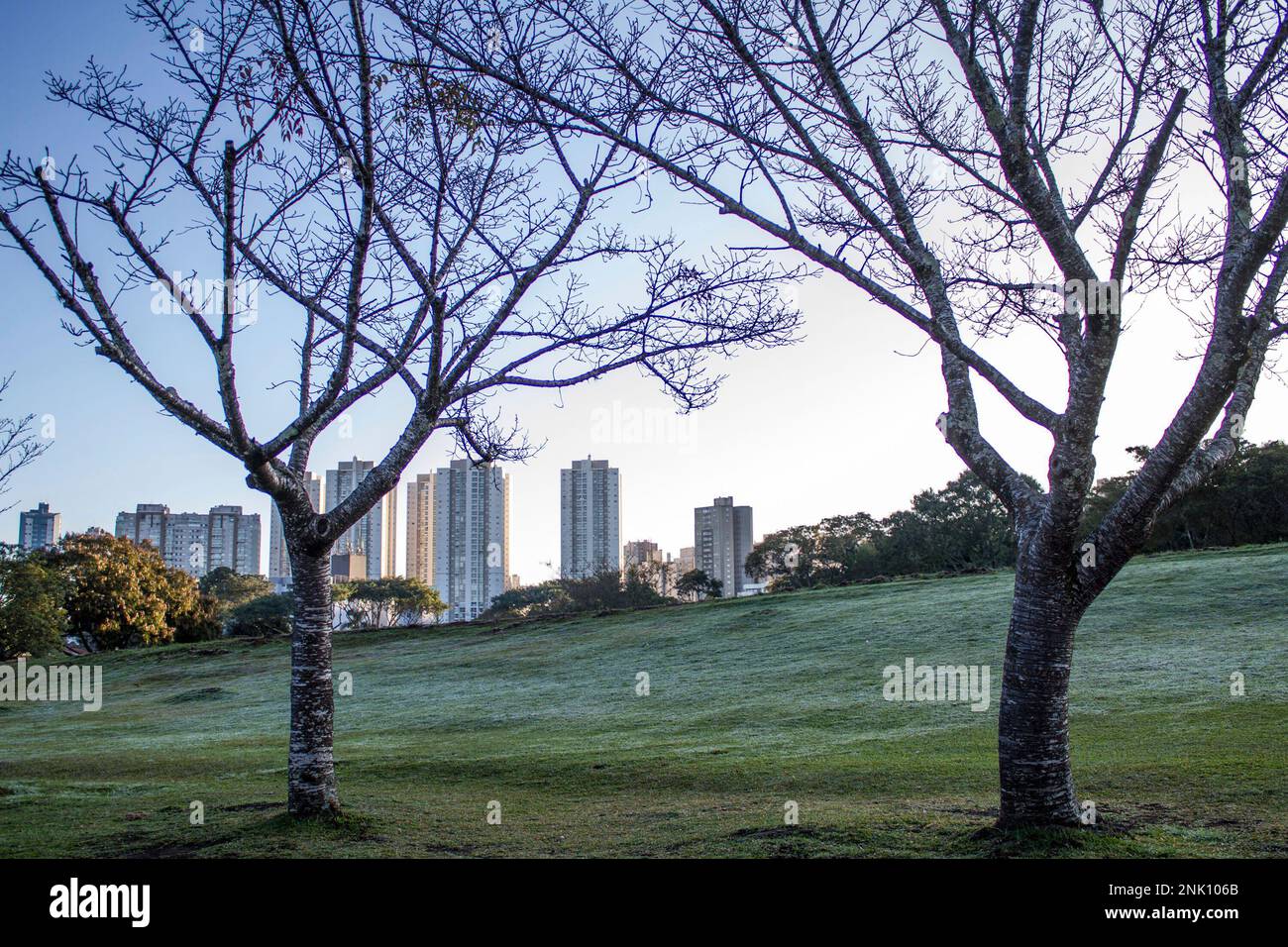 PR - Curitiba - 06/13/2022 - CURITIBA, CLIMATE - View of the frost in ...