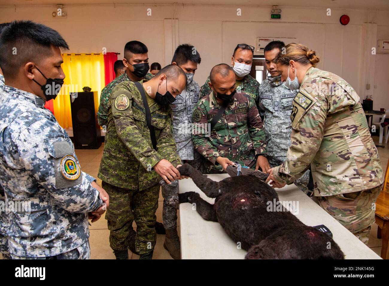 PUERTO PRINCESA, Philippines (Aug. 10, 2022) – Maj. Vicky Payne, from ...