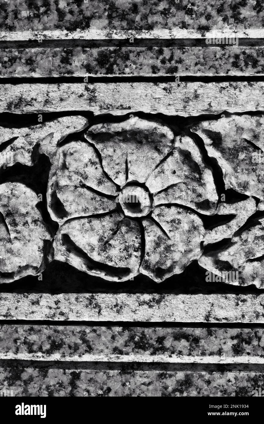 A natural stone flower carved in a slab of granite in a black and white ...
