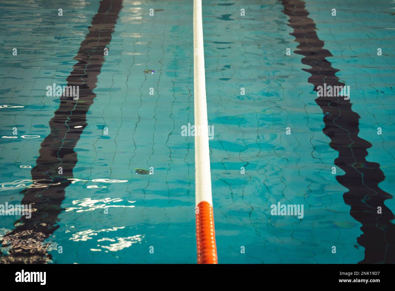 Indoor swimming pool with swim lanes Stock Photo - Alamy