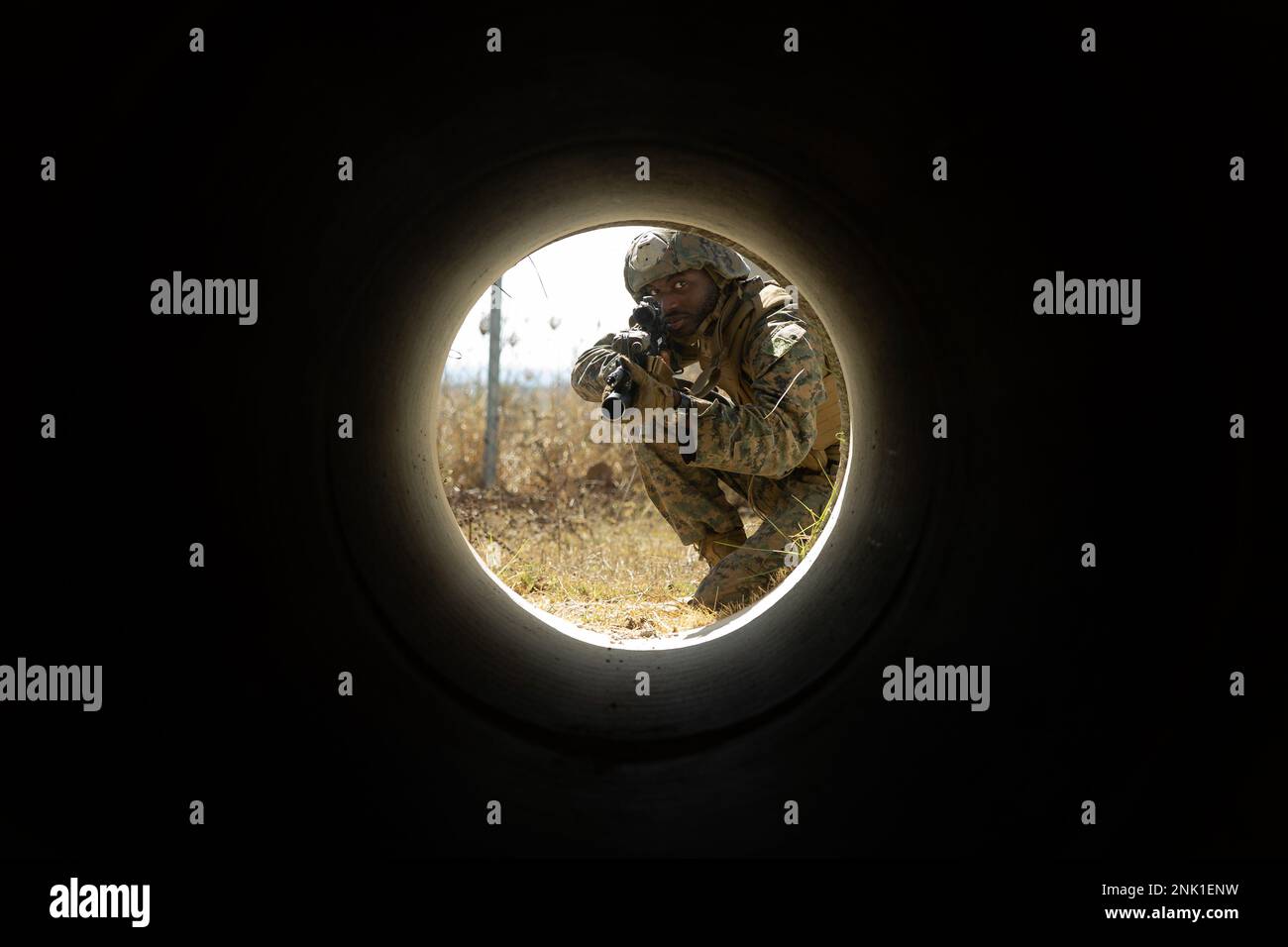 Lisa raines hi-res stock photography and images - Alamy