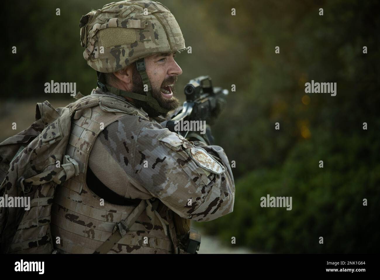 Lisa foster hi-res stock photography and images - Alamy