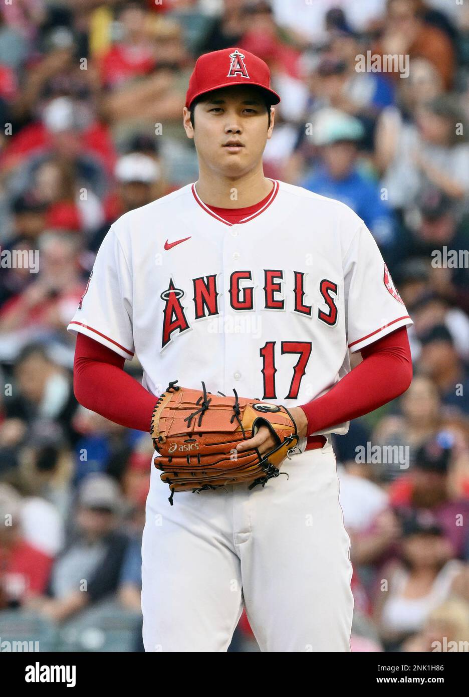 Angels Baseball Stadium 2022