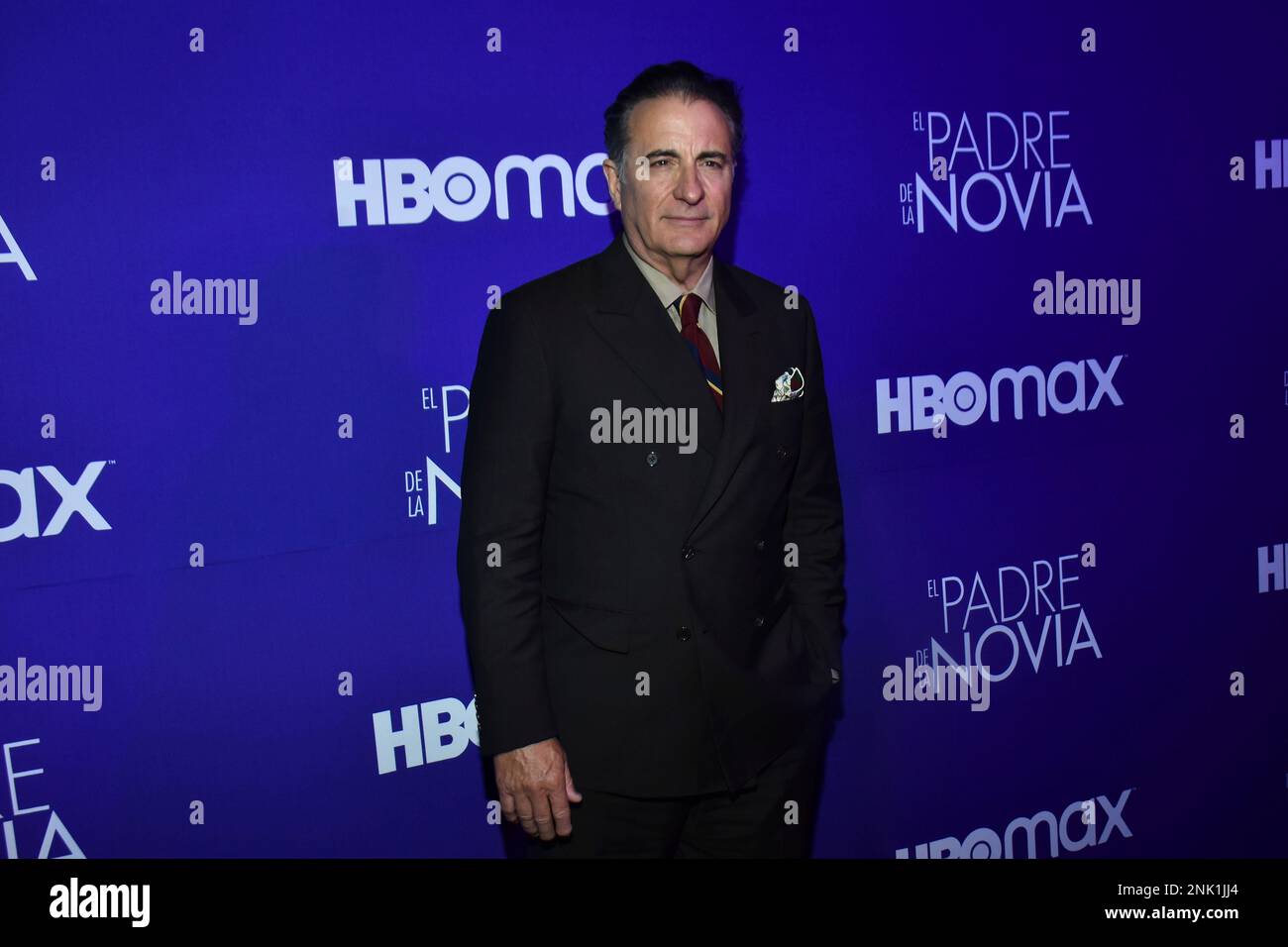 Photo by: Carlos Tischler/EPX/STAR MAX/IPx 2022 6/7/22 Andy Garcia at a ...