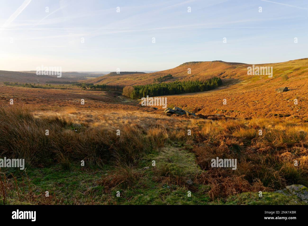 Down the slopes of Burbage Valley towards a small woodland and Higger ...