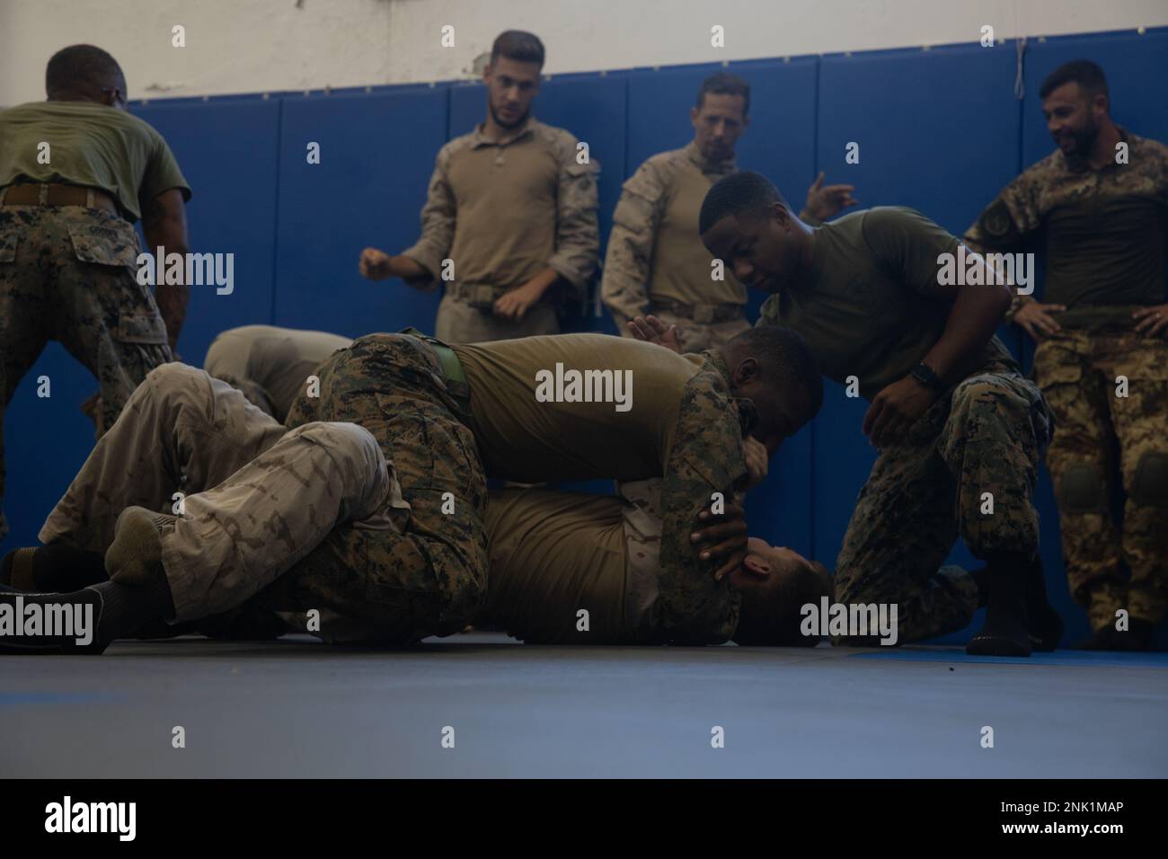 Lisa sierra hi-res stock photography and images - Alamy