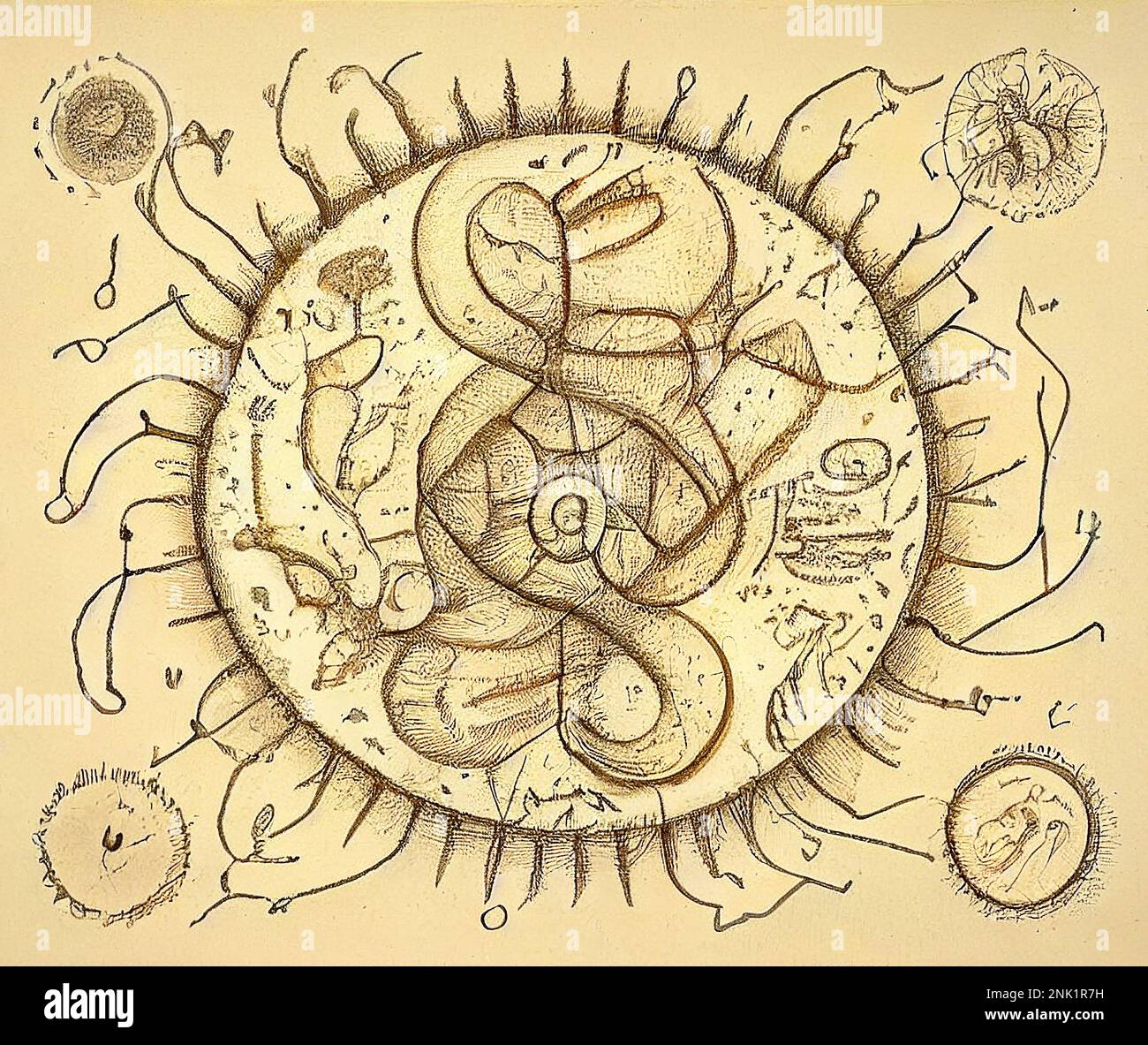 Antique vintage medical illustration bacteria hi-res stock photography ...