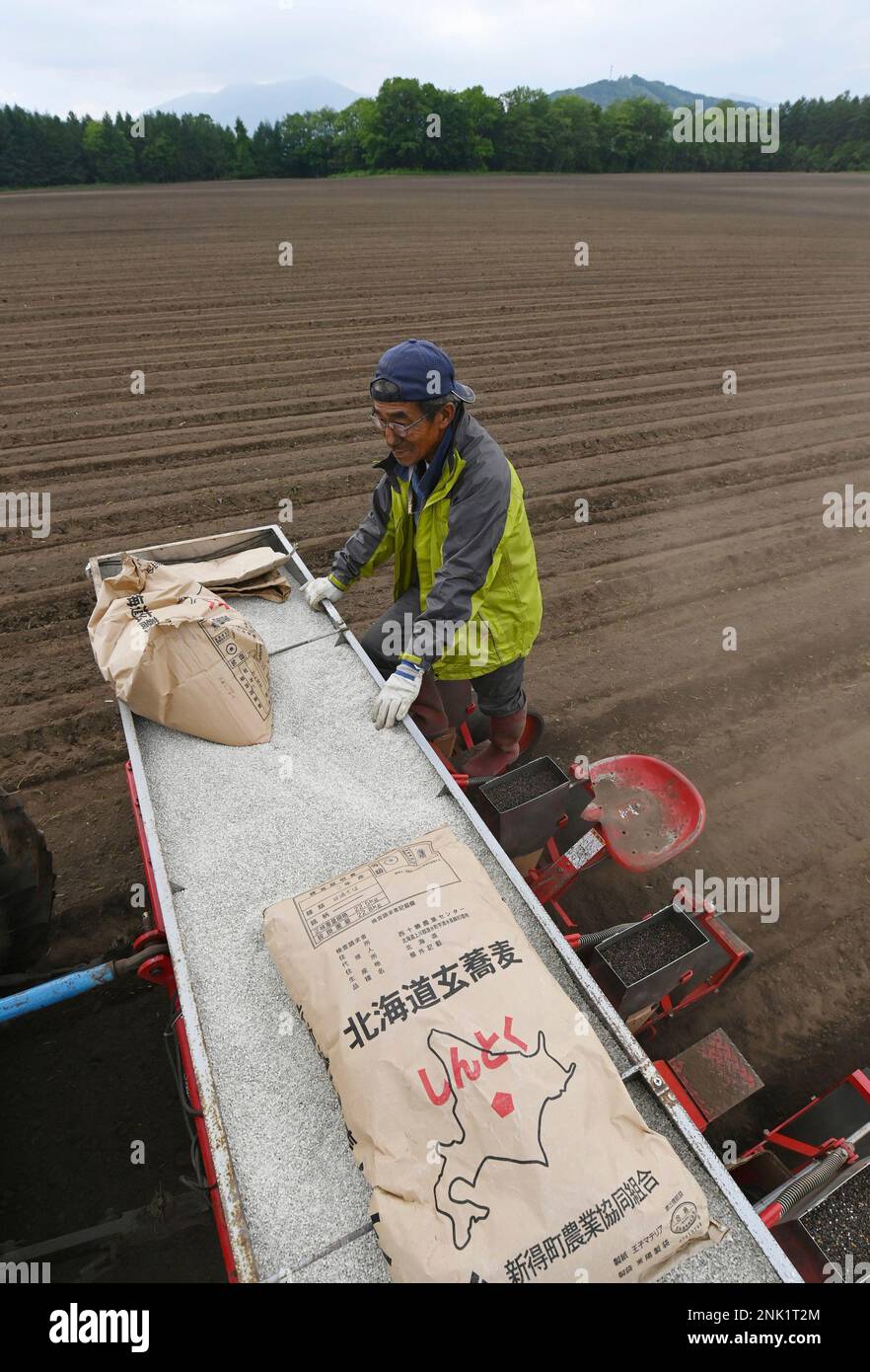 A farmer rides a tractor to spread soba noodles seed in Shintoku town ...