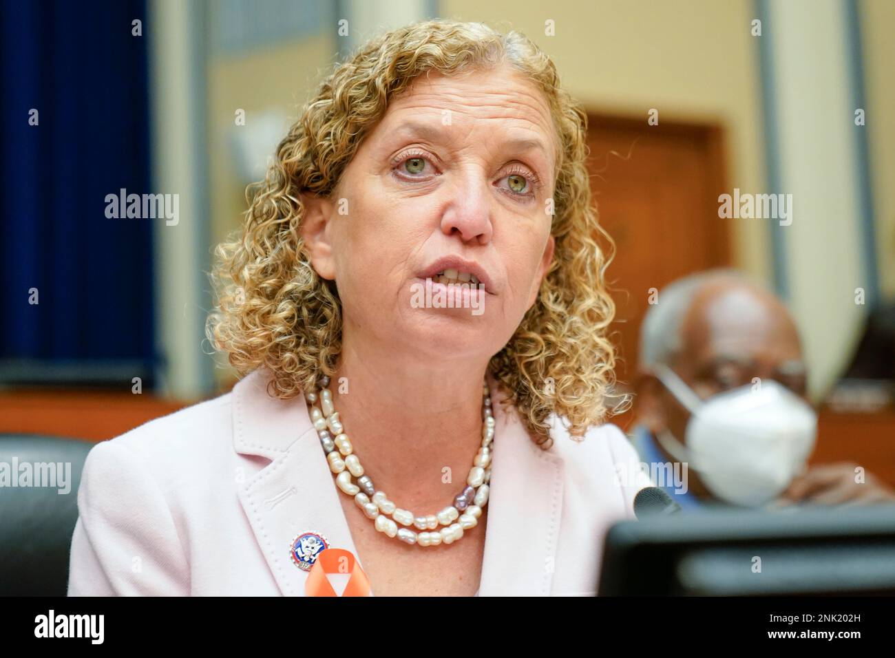 Rep. Debbie Wasserman Schultz, D-Fla., speaks during a House Committee ...