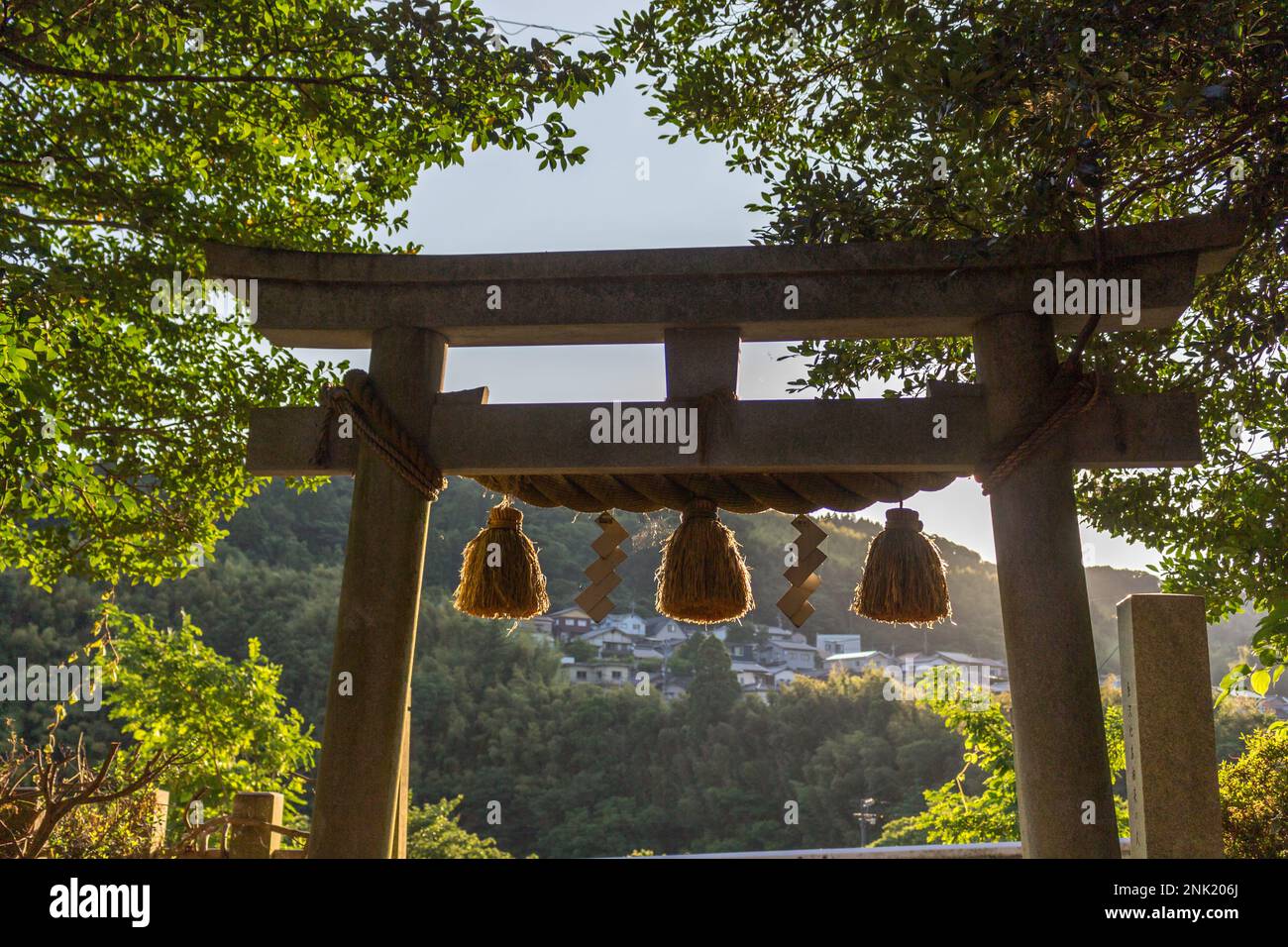 Sacred rope, or shimenawa, and zigzag streamers, or shide, on torii ...