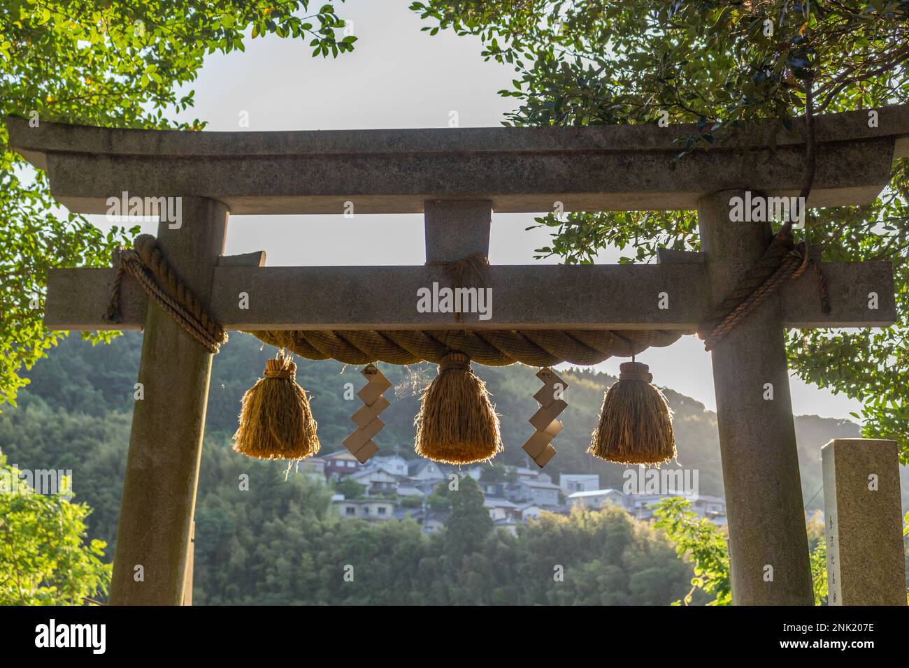 Sacred rope, or shimenawa, and zigzag streamers, or shide, on torii ...
