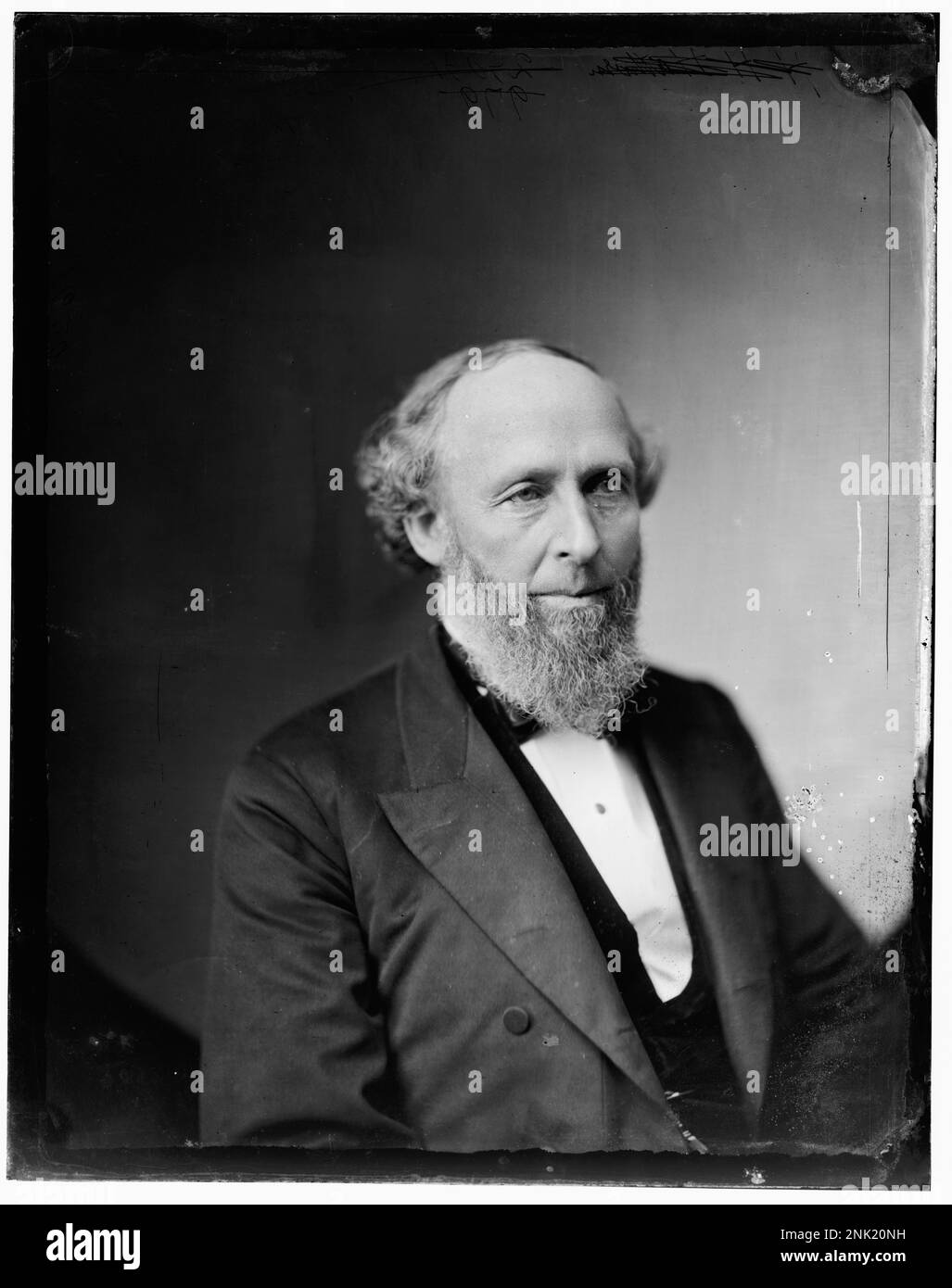 Portrait of Hon. W.W. Hathorn, a political figure from New York, from ...