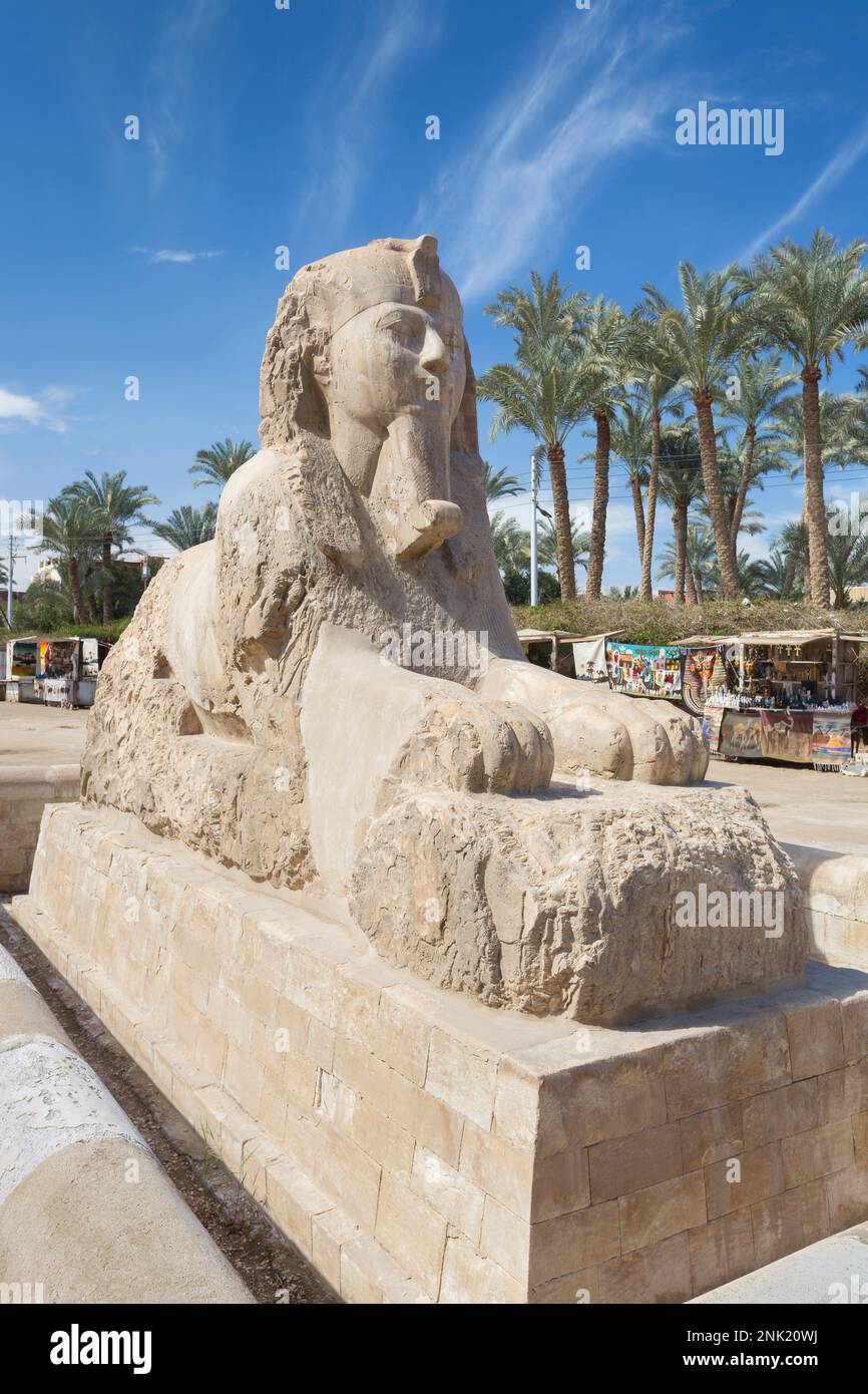 The Memphis sphinx, 1550-1069 BC circa, egyptian alabaster, Mit Rahina ...