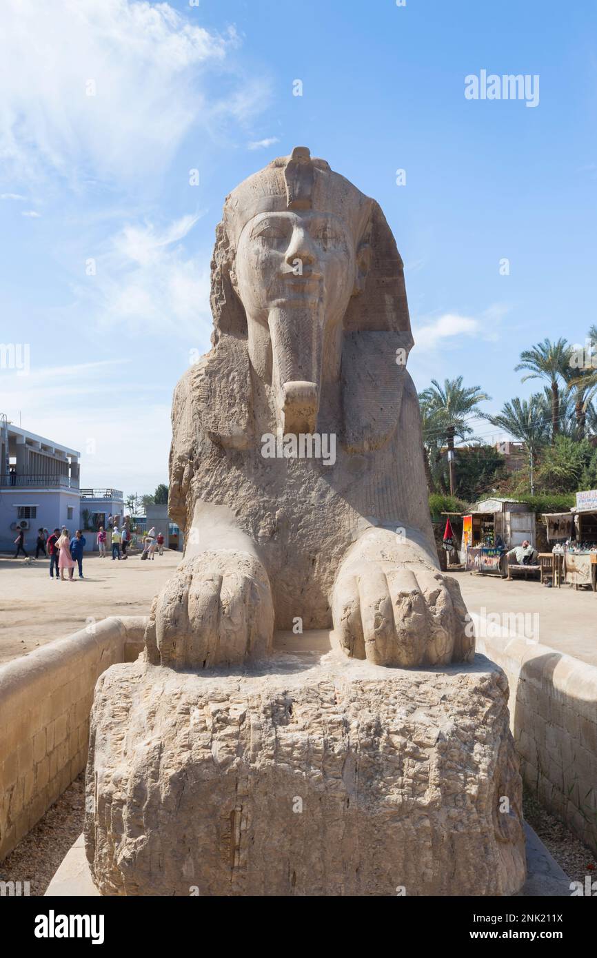 The Memphis sphinx, 1550-1069 BC circa, egyptian alabaster, Mit Rahina ...