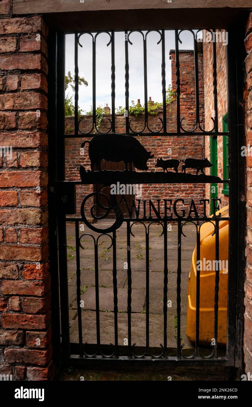 Pig on gate hi-res stock photography and images - Alamy