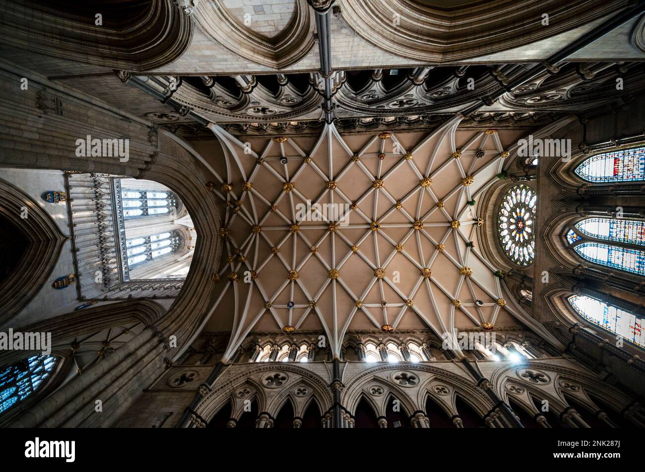 Perpendicular Gothic York Minster rib vaulted ceiling and Rose window ...