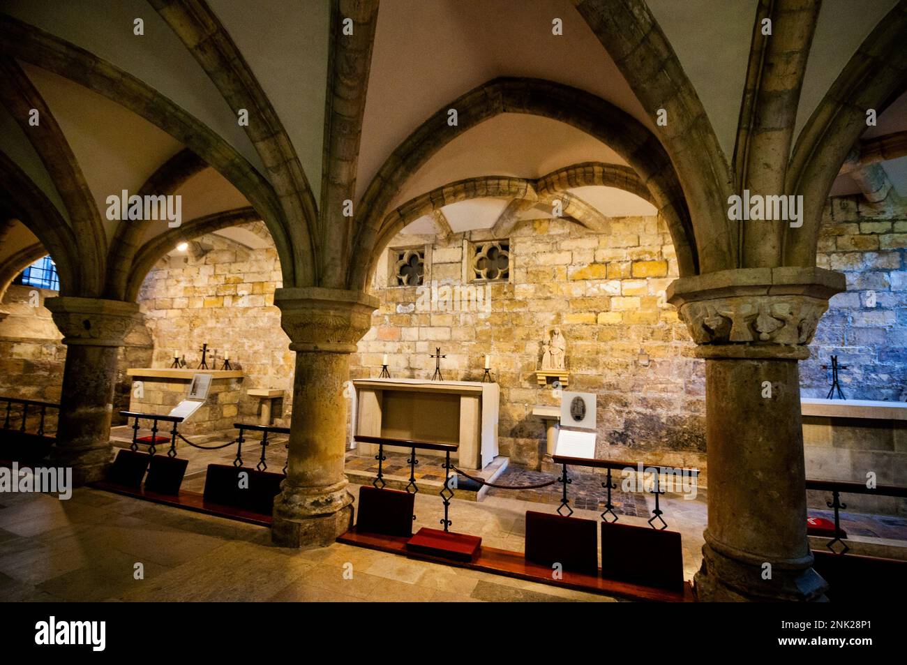 The Undercroft, Crypt and Treasury of York Minster with curved rib ...