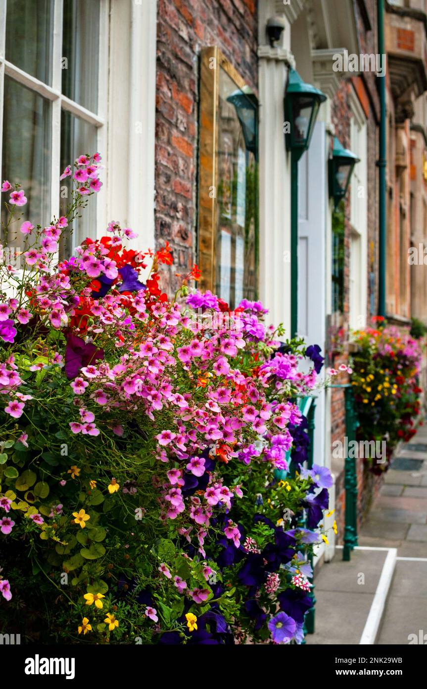 Cottages with hanging basket hi-res stock photography and images - Alamy