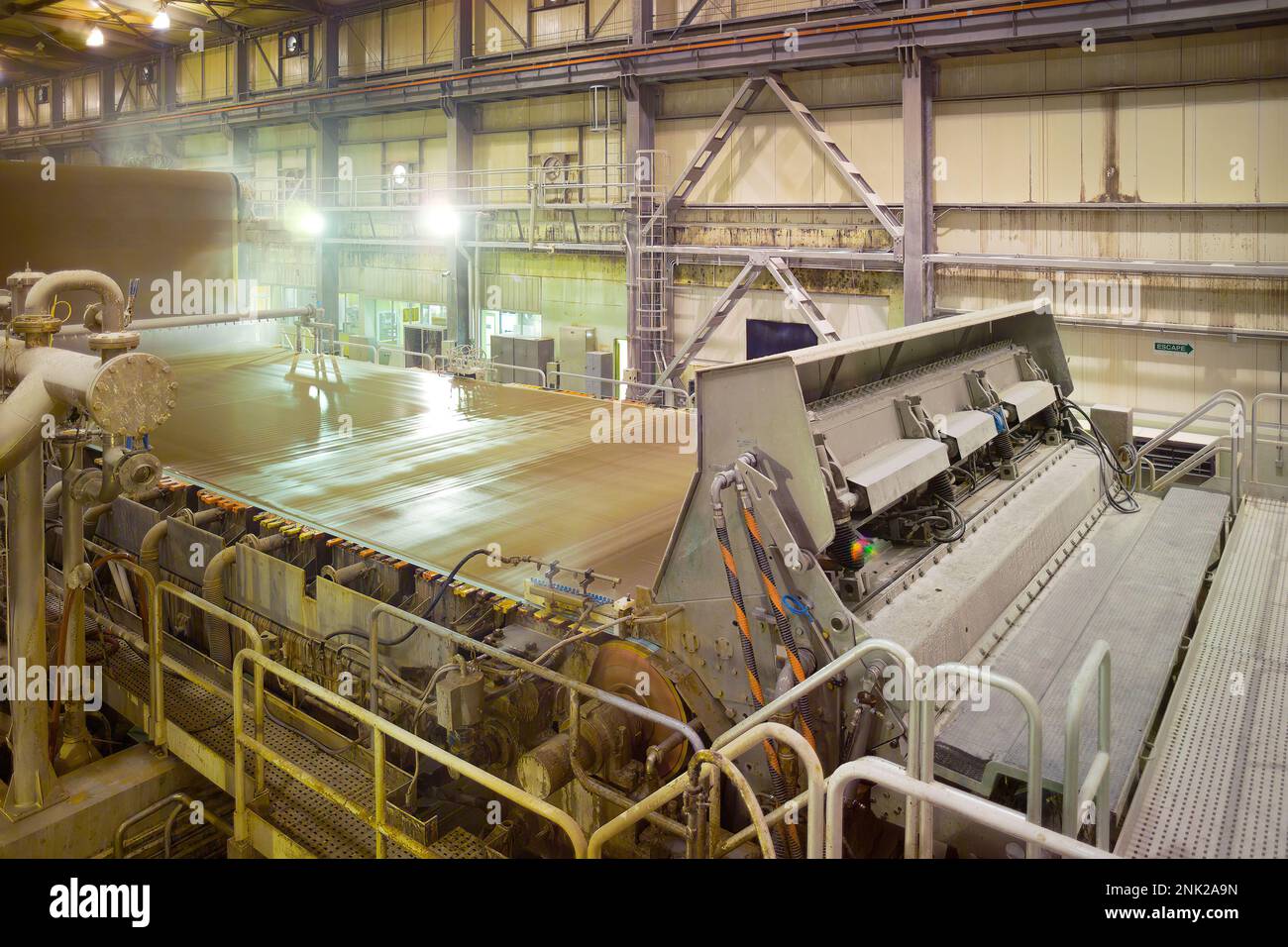 Cellulose plant hi-res stock photography and images - Alamy