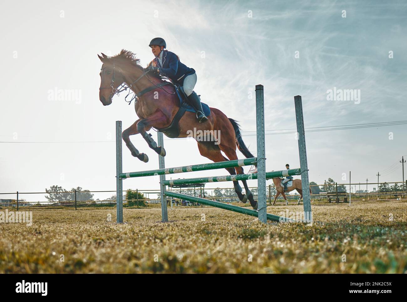 Training, competition and woman on a horse for sports, an event or show ...