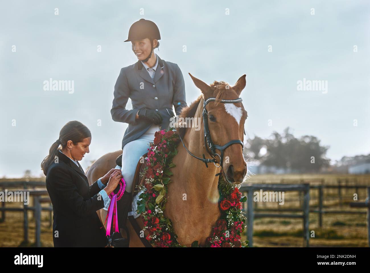 Person learning ride horseback horse hi-res stock photography and ...