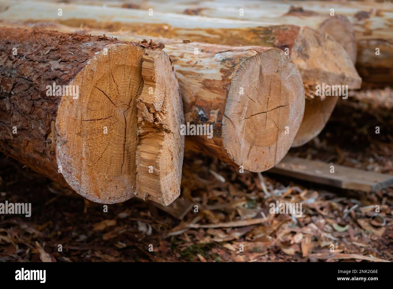 Wooden sawn logs on ground Stock Photo - Alamy