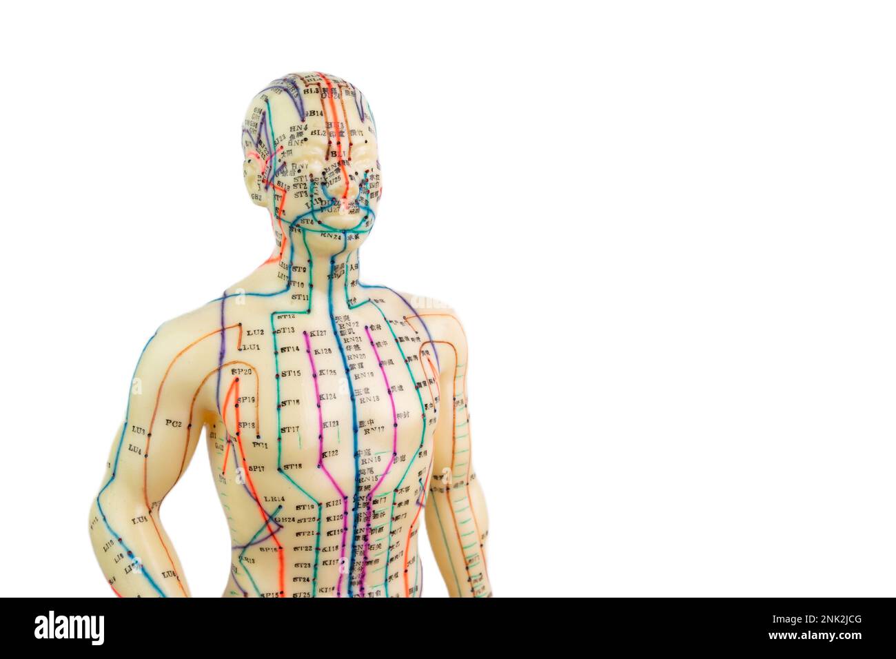Front view of a medical acupuncture model of human isolated on white ...