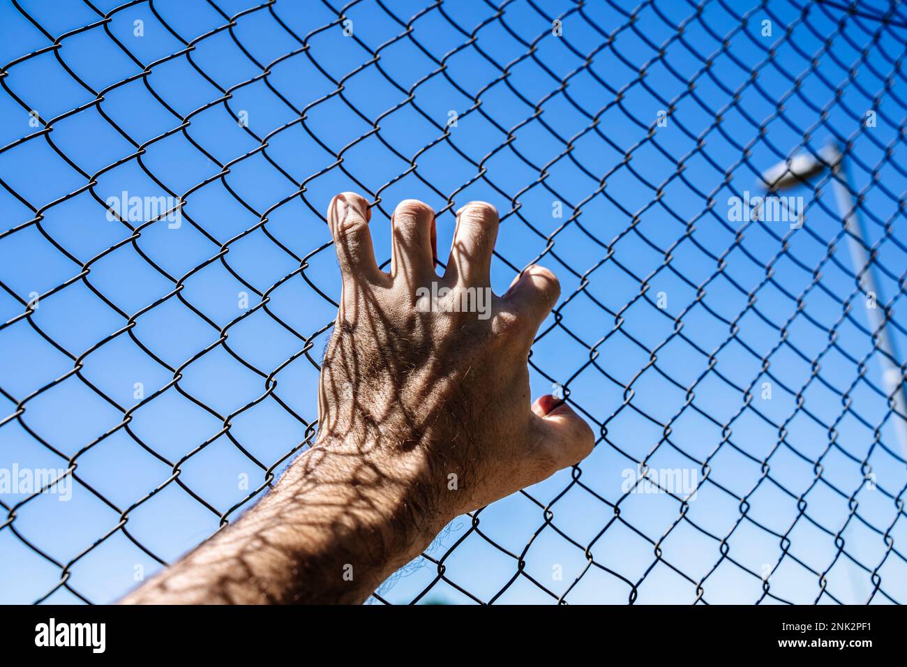 Hand on a metal fence. Border, prison, illegal migration concept. High ...