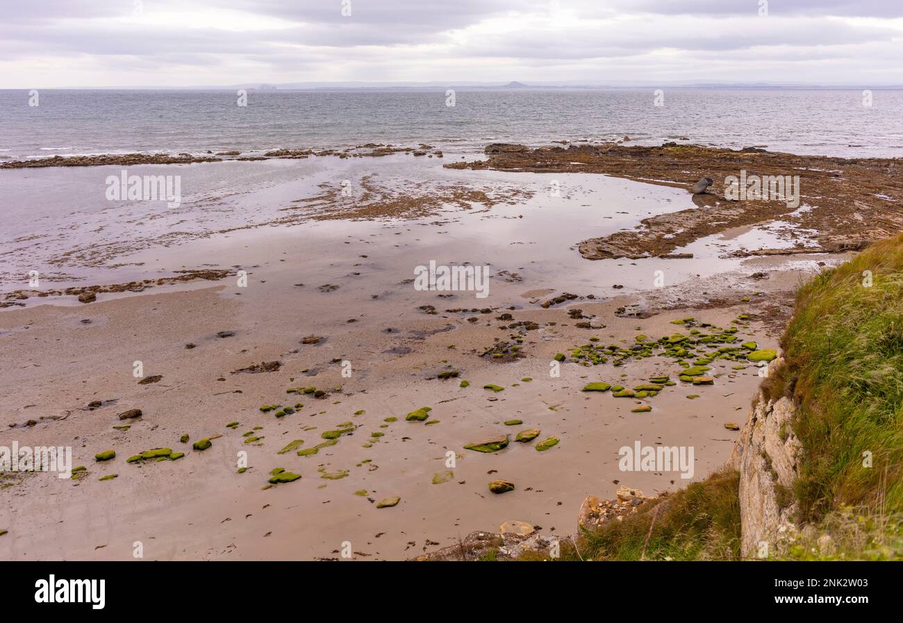 SCOTLAND, EUROPE - Beach on Fife Coastal Path, near Pittenweem Stock ...