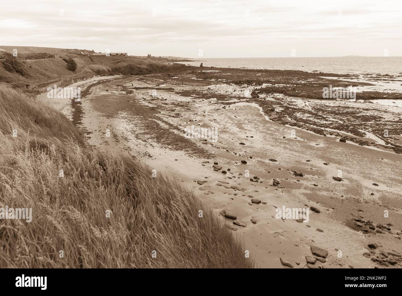 SCOTLAND, EUROPE - Beach on Fife Coastal Path, near Pittenweem Stock ...