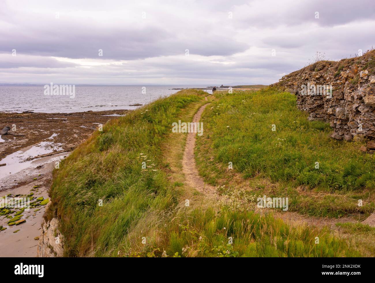 SCOTLAND, EUROPE - Fife Coastal Trail, near Pittenweem Stock Photo - Alamy